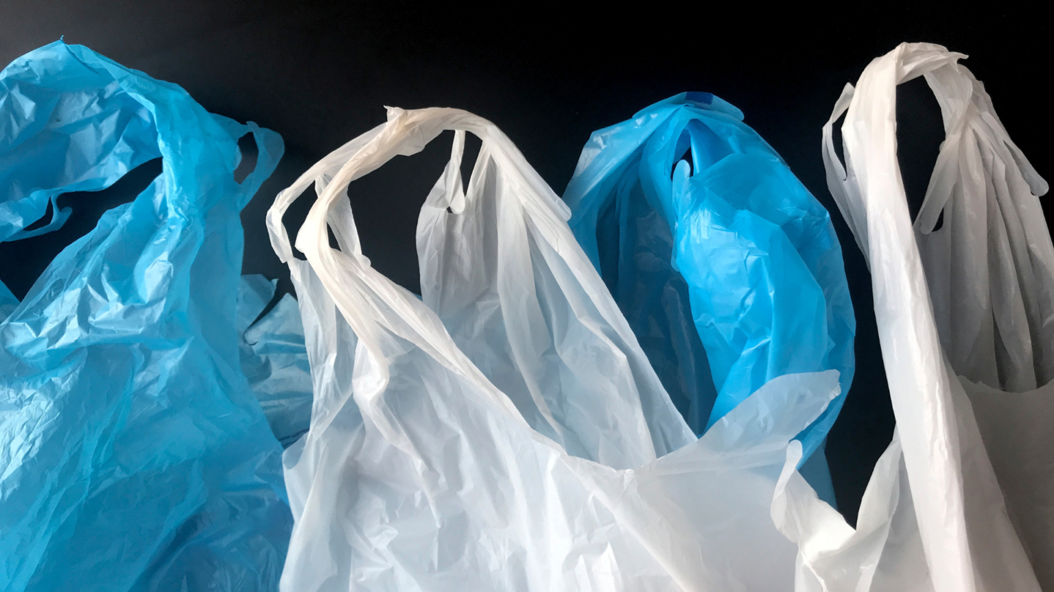 Plastic bag fee increases in Washington beginning in 2026 – Washington ...